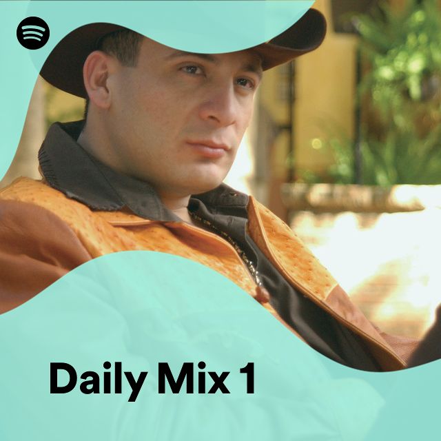 Daily Mix 1 | Spotify Playlist