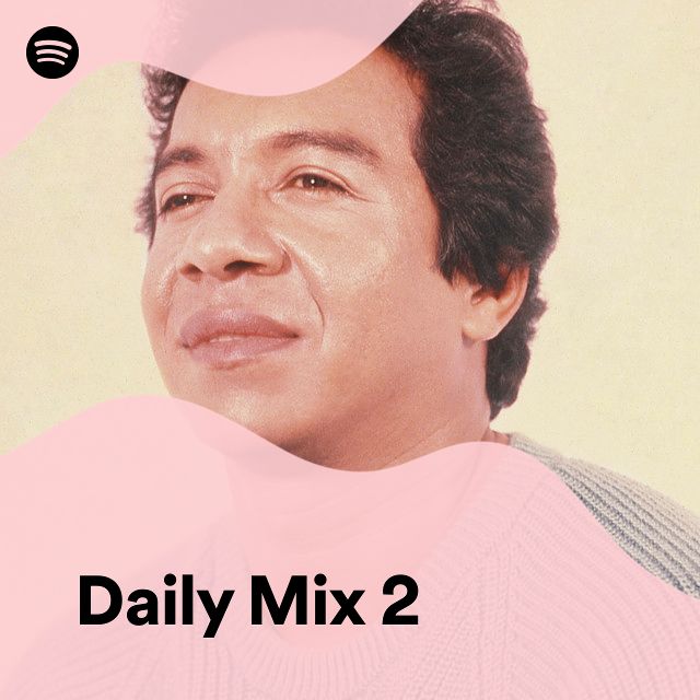 Daily Mix 2 | Spotify Playlist
