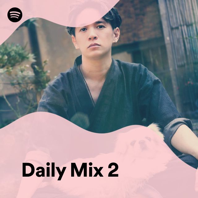 Daily Mix 2 | Spotify Playlist