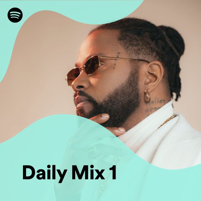 Daily Mix 1 | Spotify Playlist