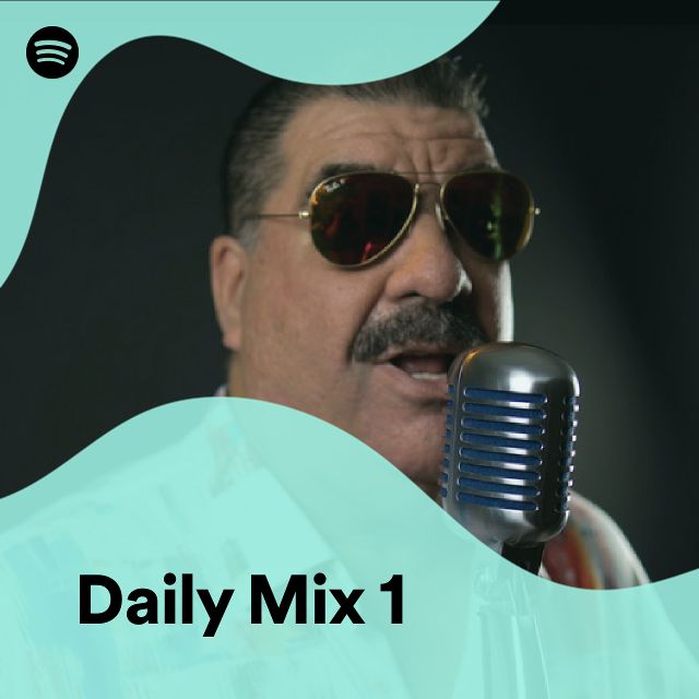 Daily Mix 1 | Spotify Playlist