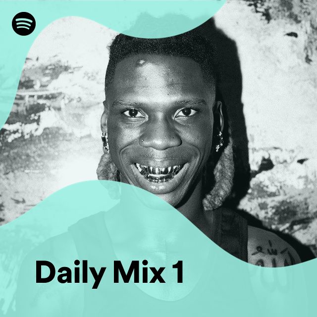 Daily Mix 1 | Spotify Playlist