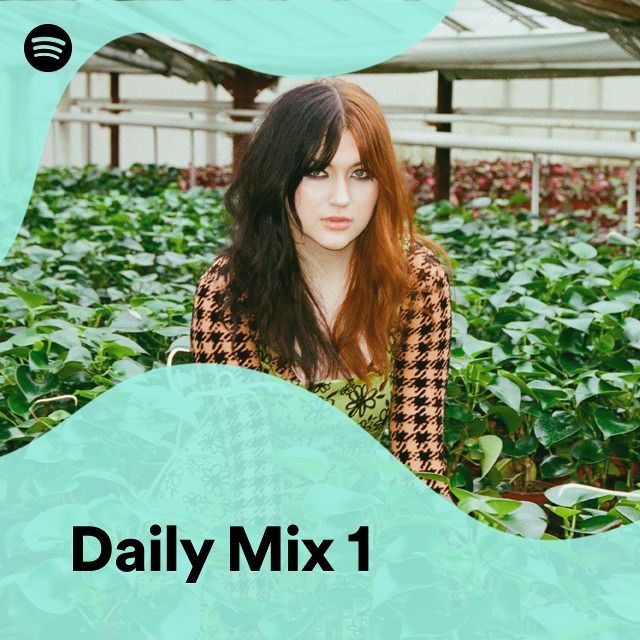 Daily Mix 1 | Spotify Playlist