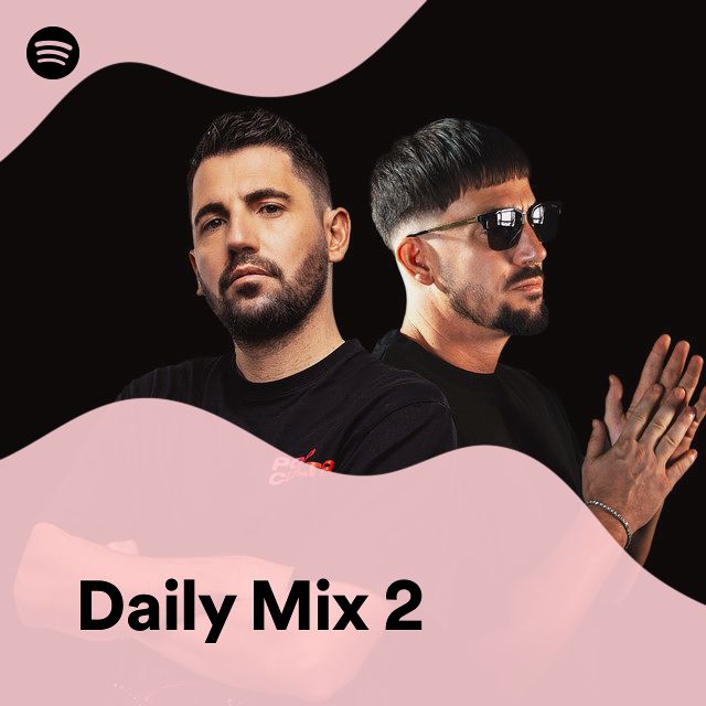 Daily Mix 2 | Spotify Playlist