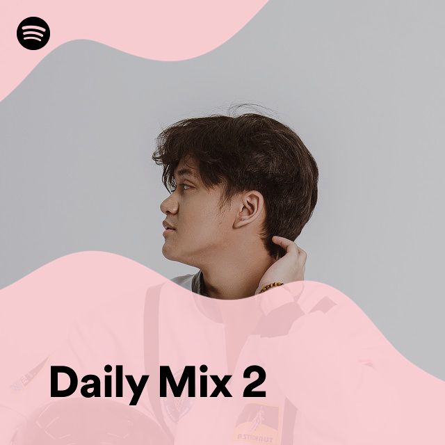 Daily Mix 2 | Spotify Playlist