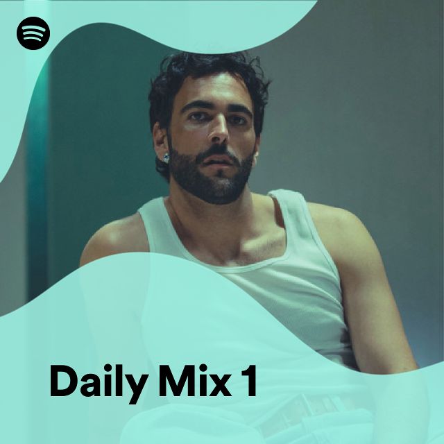 Daily Mix 1 | Spotify Playlist