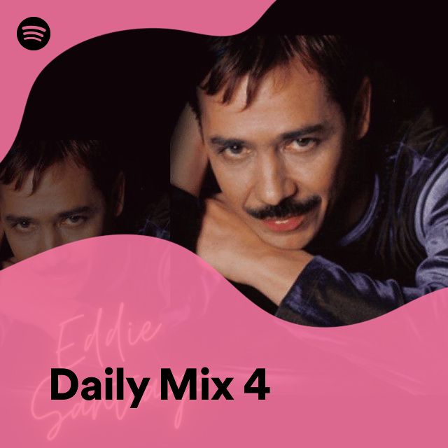 Daily Mix 4 | Spotify Playlist