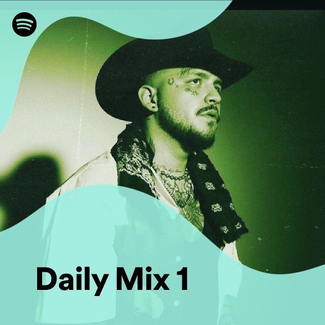 Daily Mix 1 | Spotify Playlist