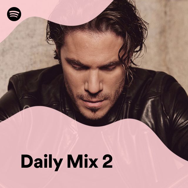 Daily Mix 2 | Spotify Playlist