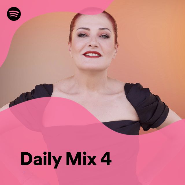 Daily Mix 4 | Spotify Playlist