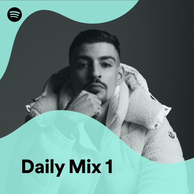Daily Mix 1 | Spotify Playlist