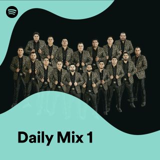 Daily Mix 1 - playlist by Spotify | Spotify