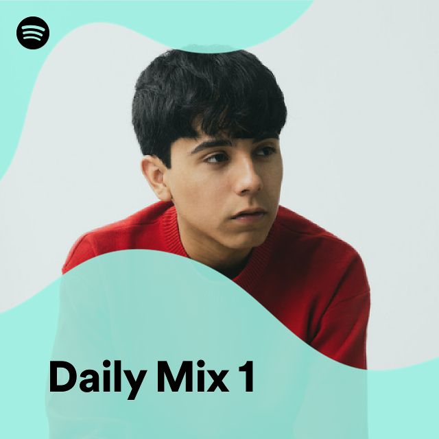 Daily Mix 1 | Spotify Playlist