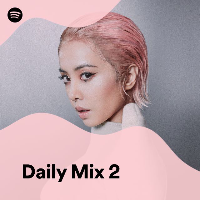 Daily Mix 2 | Spotify Playlist