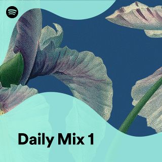 Daily Mix 1 - playlist by Spotify | Spotify