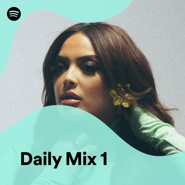 Daily Mix 1 | Spotify Playlist