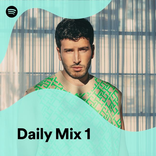 Daily Mix 1 | Spotify Playlist