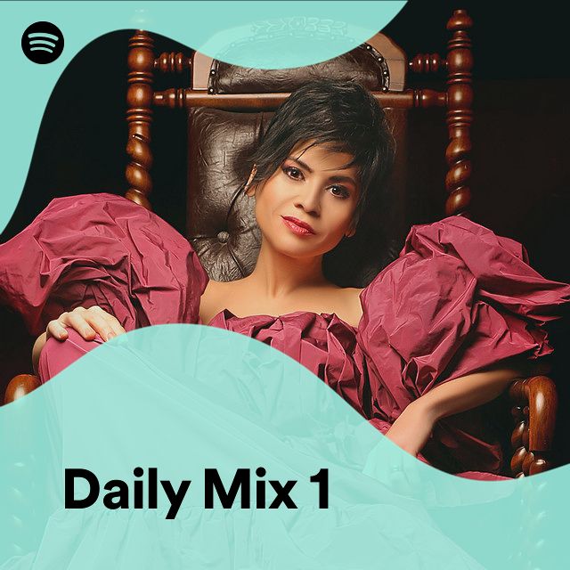 Daily Mix 1 | Spotify Playlist