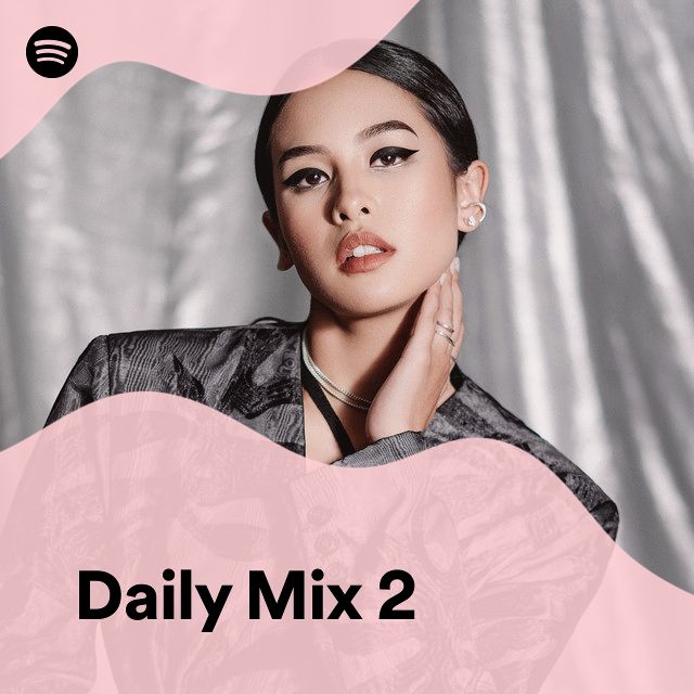 Daily Mix 2 | Spotify Playlist