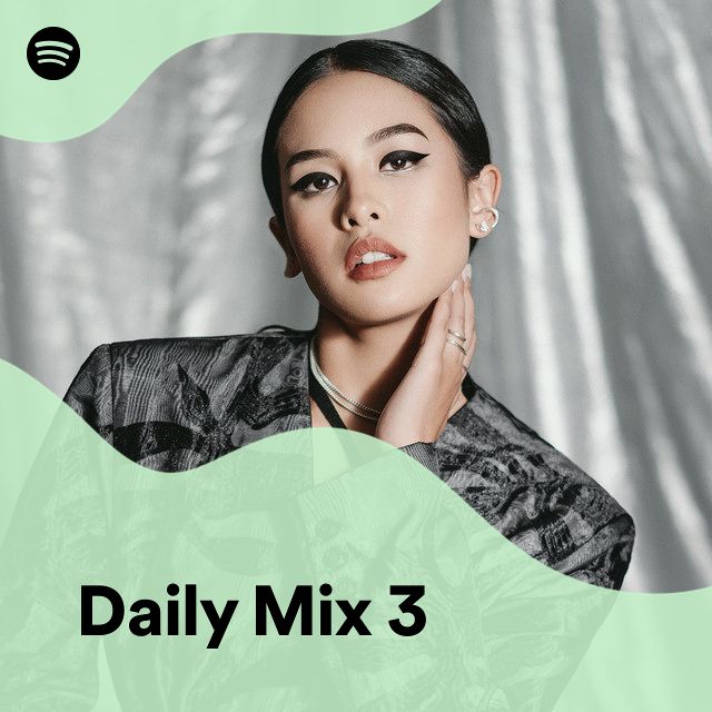 Daily Mix 3 | Spotify Playlist