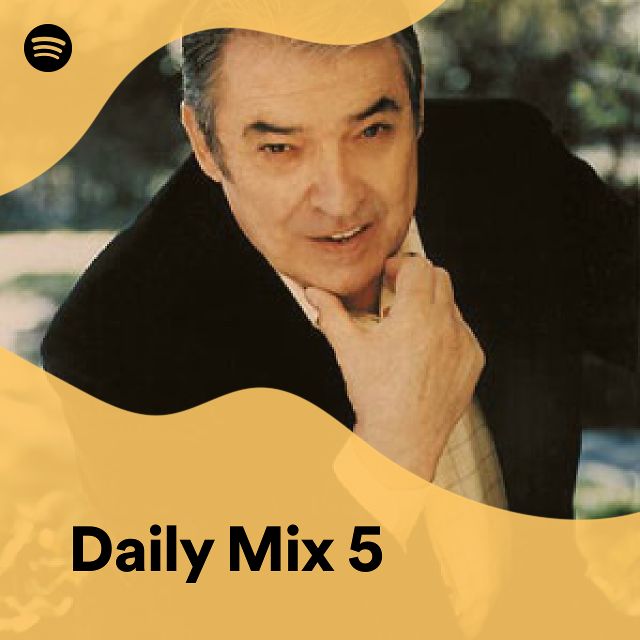 Daily Mix 5 | Spotify Playlist