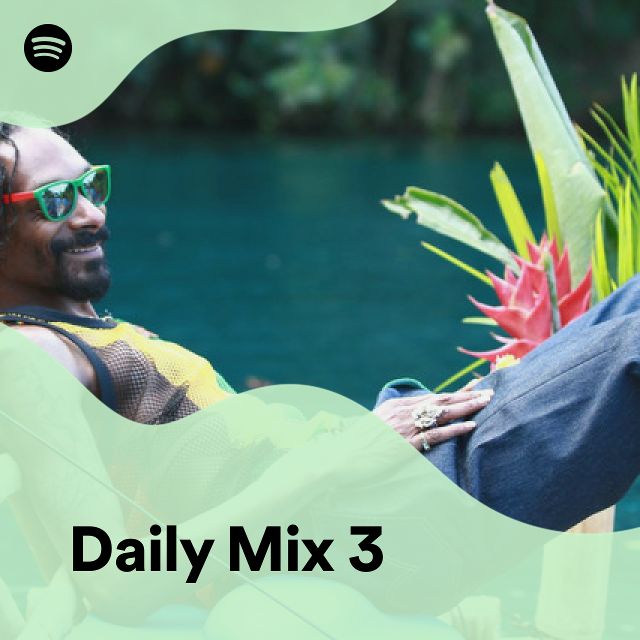 Daily Mix 3 | Spotify Playlist