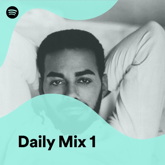 Daily Mix 1 | Spotify Playlist